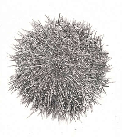 Resurgence • Tim Li