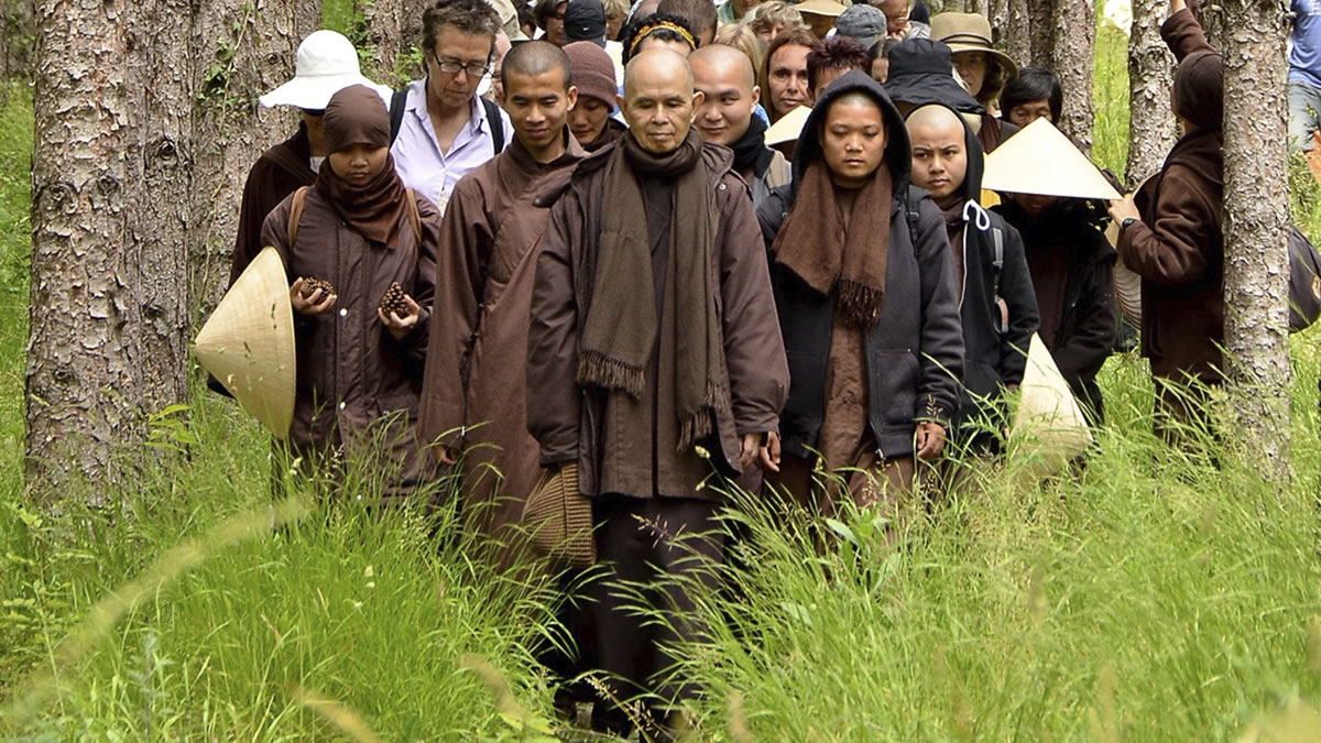 Resurgence • Article - The Cosmos Inside Us