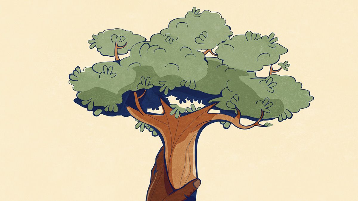 Resurgence • Article - Tree Equity