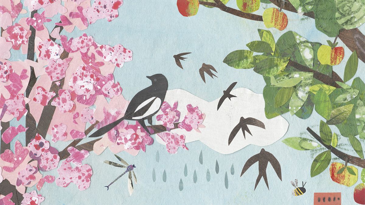 Resurgence • Article - A Year in Microseasons