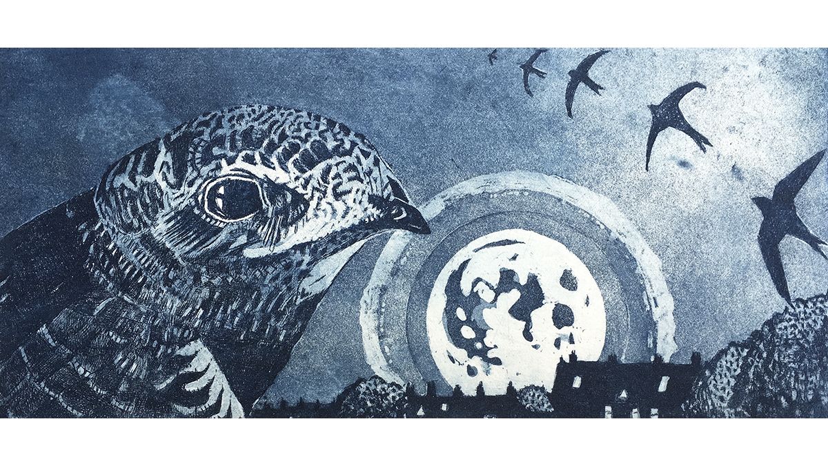 Resurgence • Article - The miracle of flight