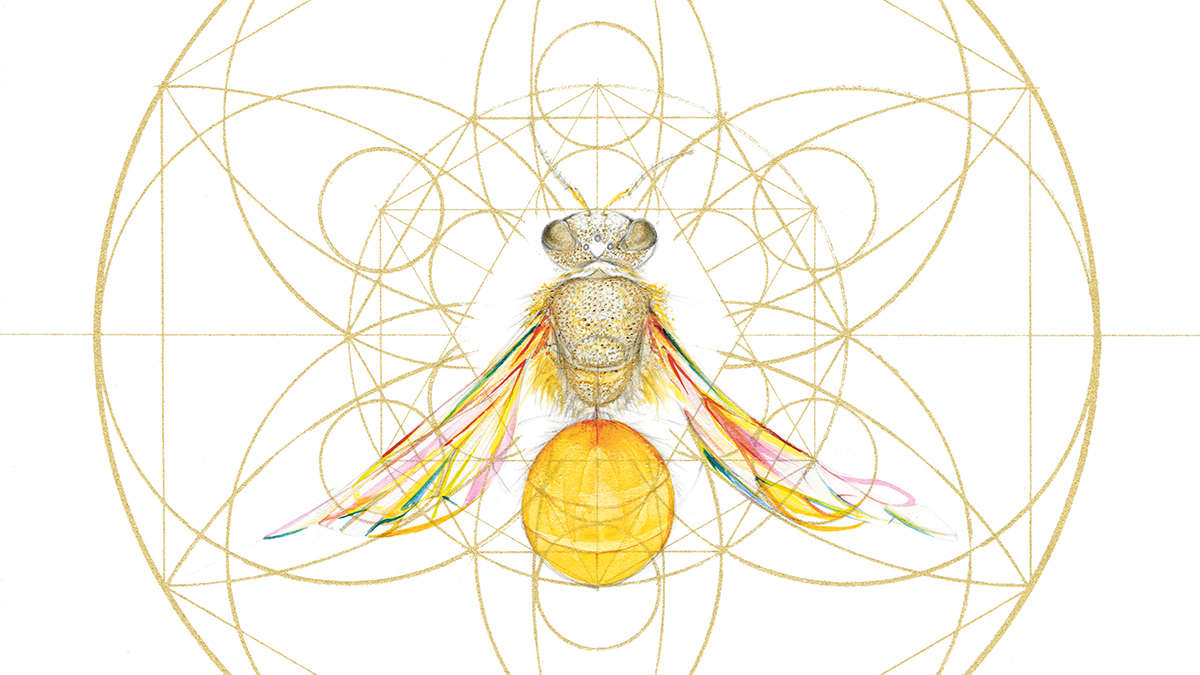 Resurgence • Article - Welcome