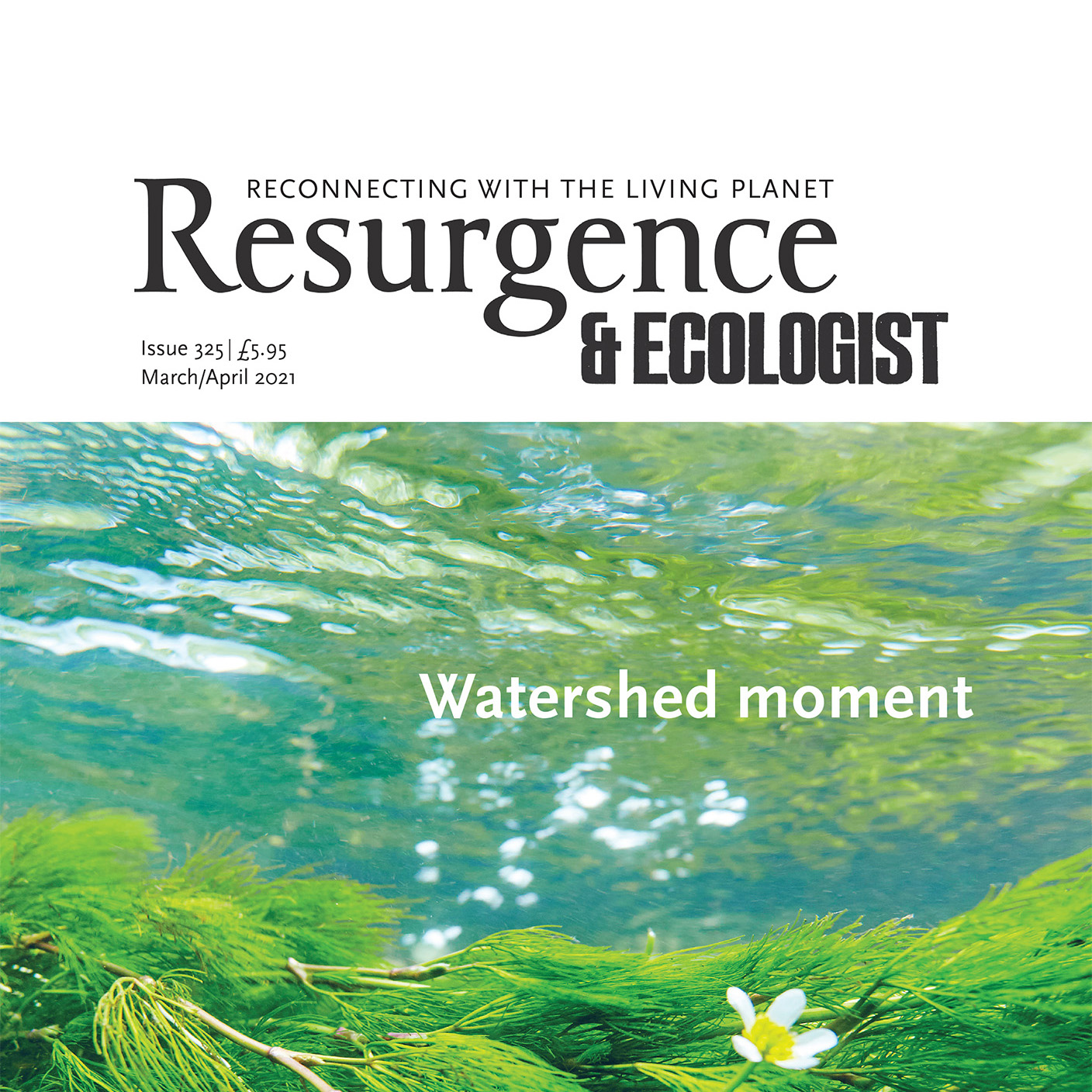 Resurgence • Article - Seeds of Resilience