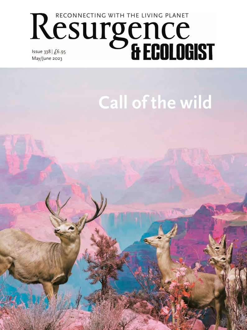 Resurgence • Article - Exploring the spiritual nature of environment