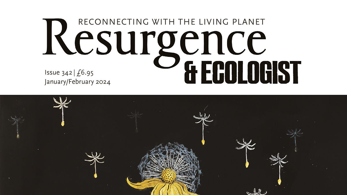 Resurgence • Article - A New Consciousness