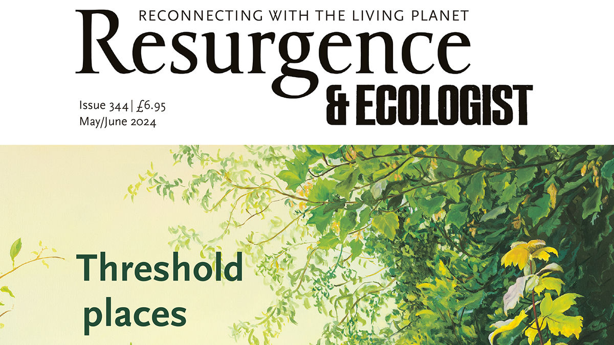 Resurgence • Article - Worlds of meaning