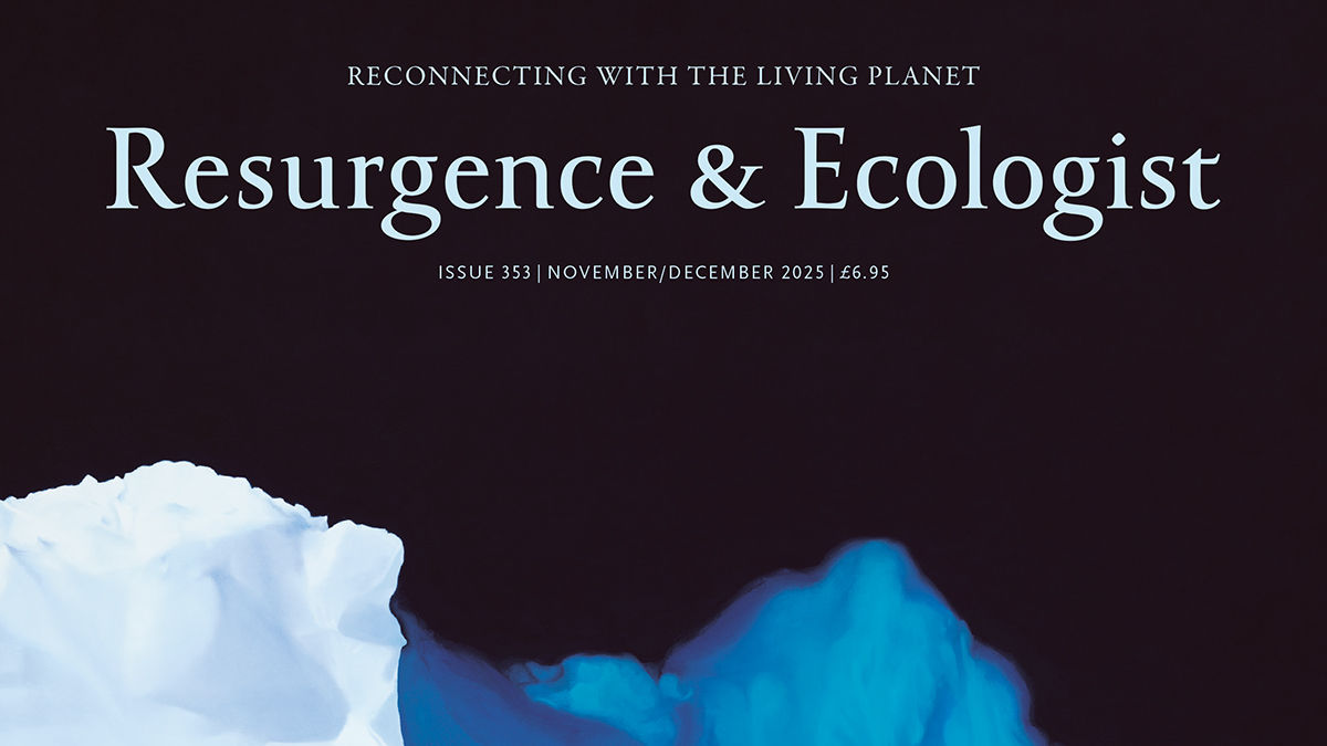 Resurgence • Article - The power of connection