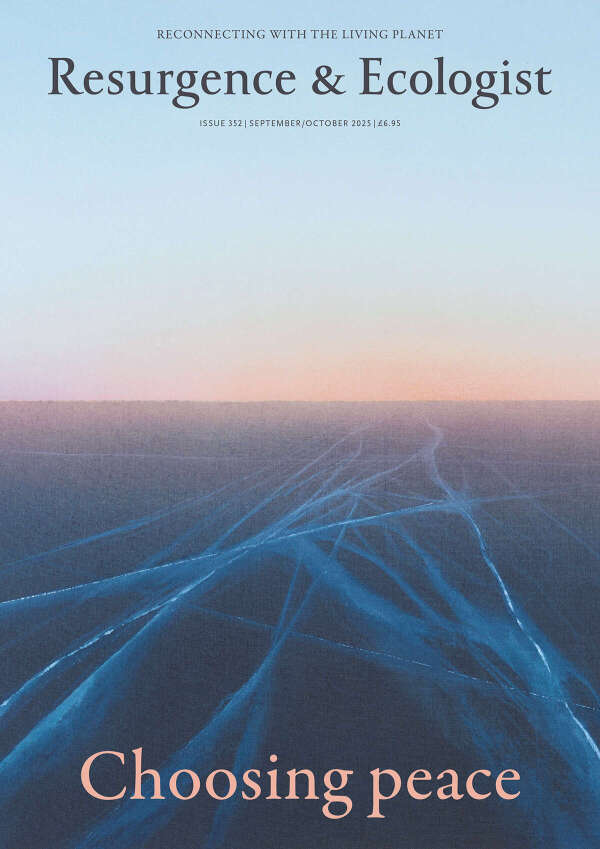 Resurgence • Issue 352 - Choosing peace